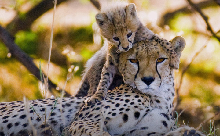 VSCode选择Inno Setup,electron-builder选择NSIS - 知乎