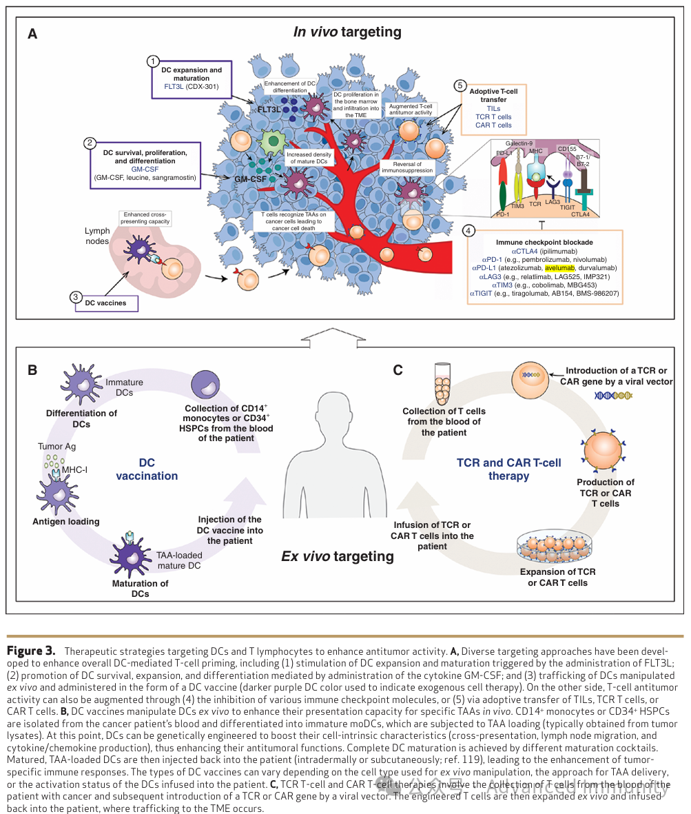 Cancer Discov | 肿瘤微环境（TME）经典综述01——肿瘤微环境的治疗靶向 - 知乎