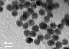圆形54nm纳米金HRP-IgG-AuNPs/AF555-AuNRs标记抗体/蛋白 - 知乎