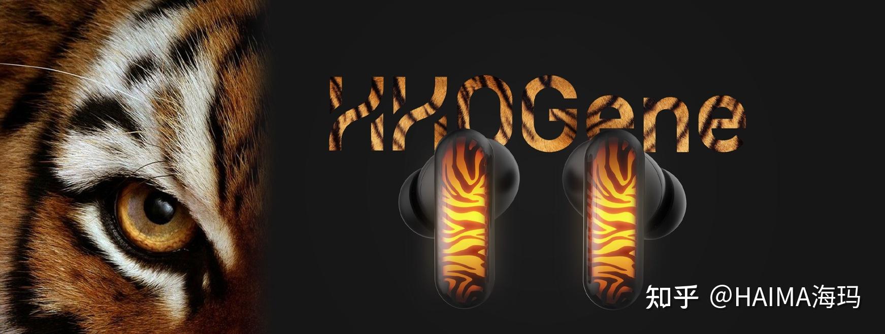 海玛国际传媒|“国货之光”HHOGene耳机如何靠海外社媒营销，畅销全球40多国 ？ - 知乎