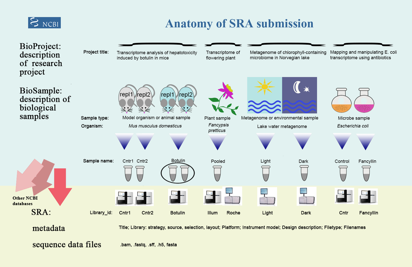 下载NCBI的SRA数据 详细教程 - 知乎