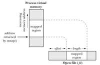 OpenGL SSBO - 知乎