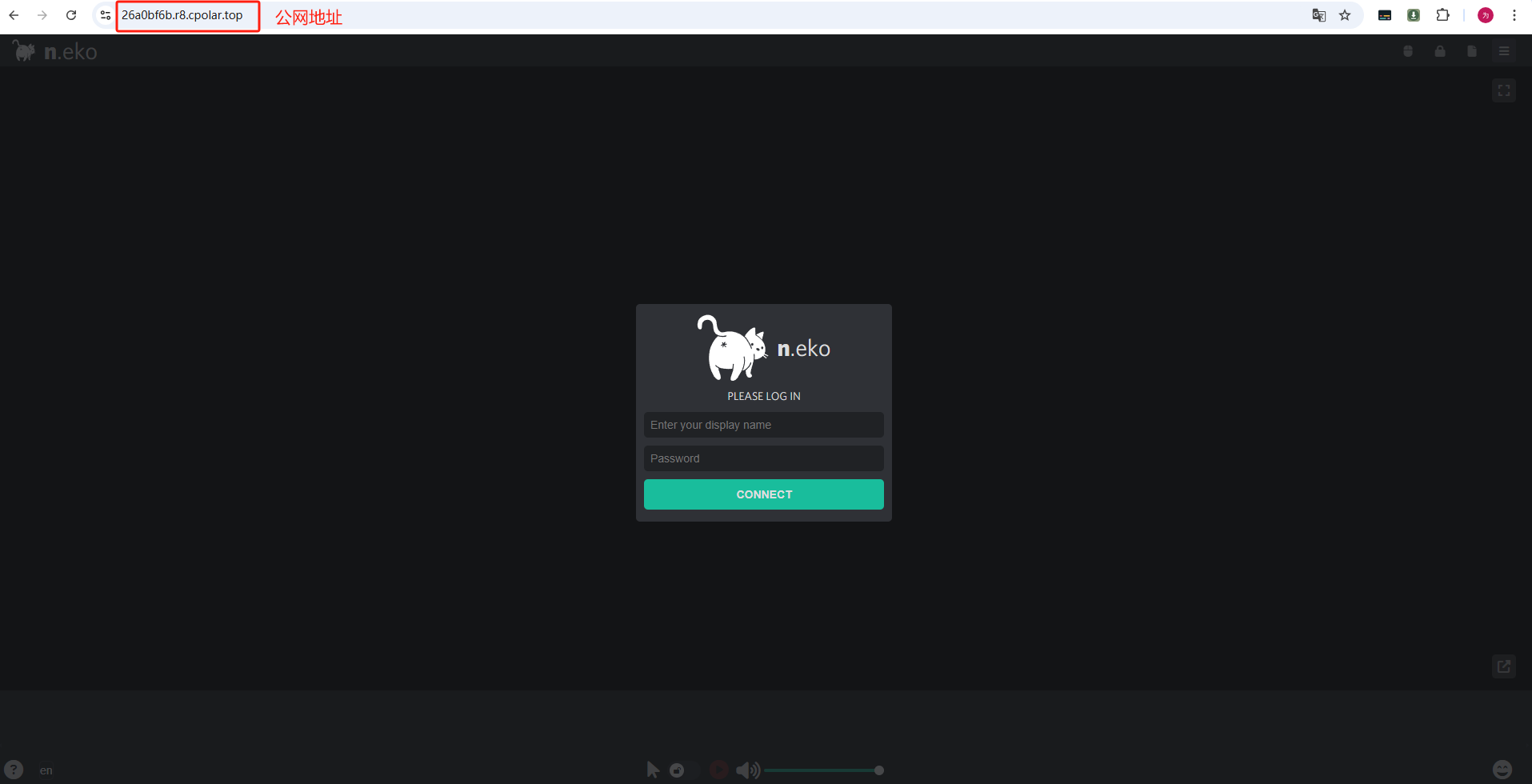 本地Docker部署Neko虚拟浏览器并实现远程访问 - 知乎