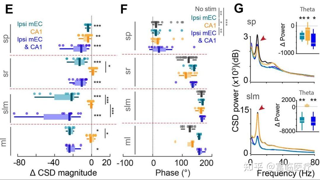 深度学习中 number of training epochs 中的 epoch到底指什么？ - 知乎