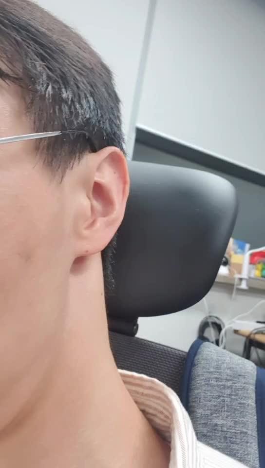 MMPose实战--基于耳朵穴位数据集【OpenMMLab AI实战营第二期Day3+作业1】 - 知乎