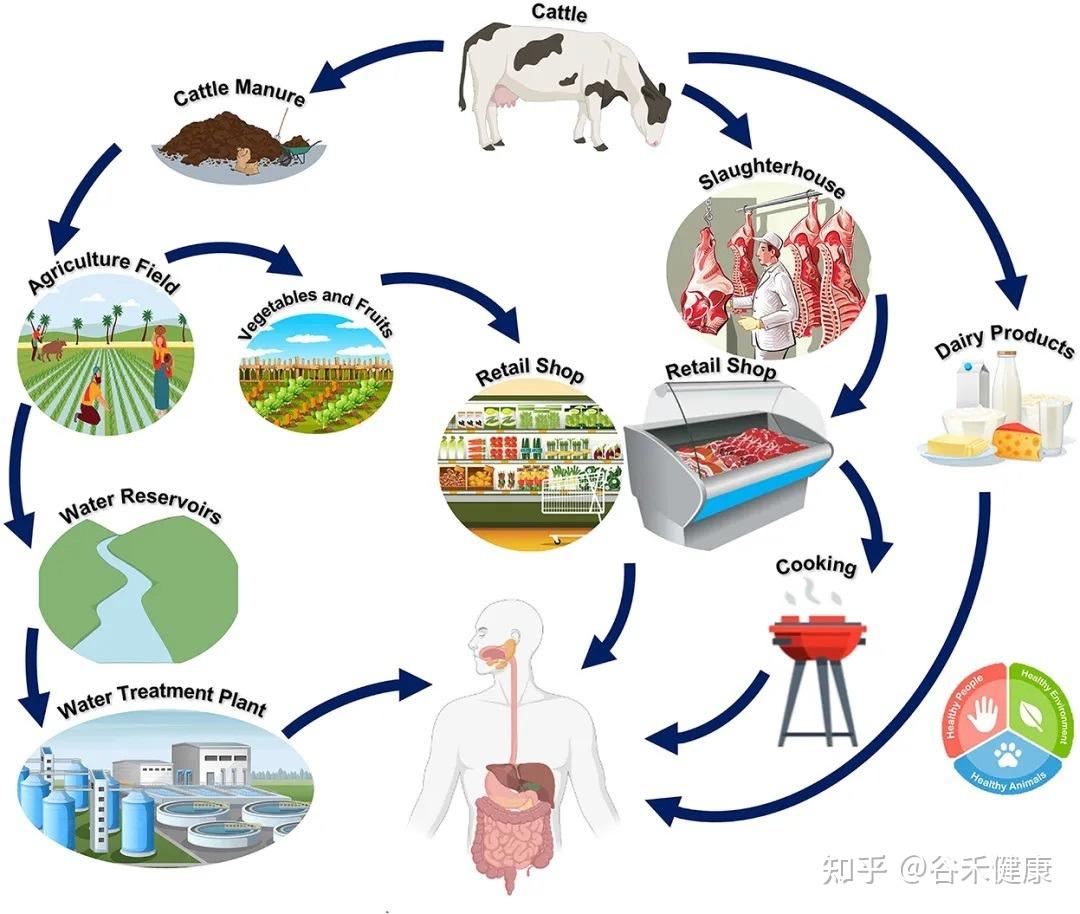 主要食源性人畜共患病病原菌 - 知乎