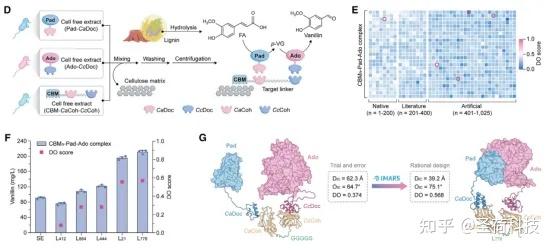 【文献解读】《Cell》重磅！！iMARS成为多酶体系结构设计的新工具 - 知乎