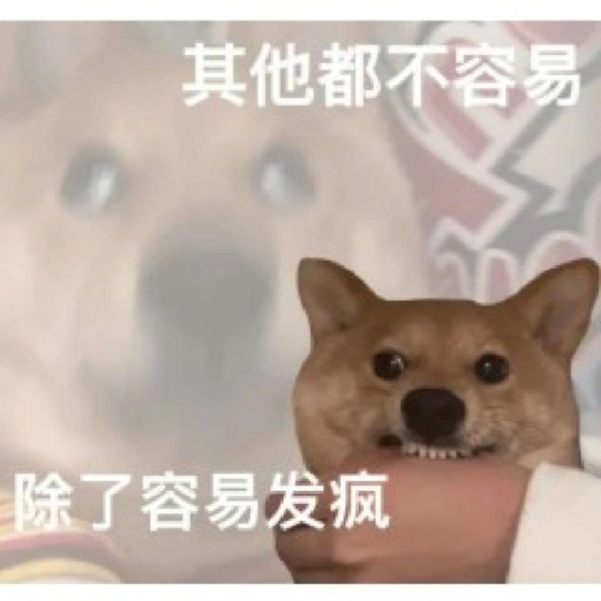 友友们，有没有发疯发癫的表情包? - 知乎