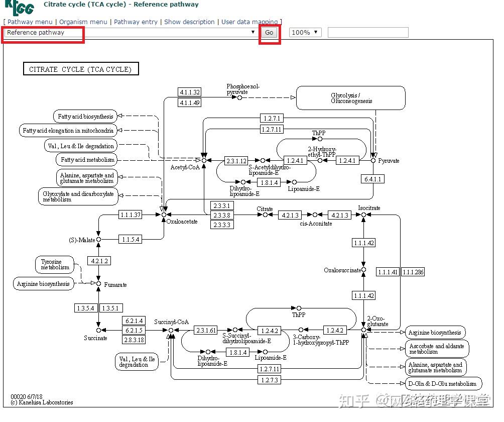 KEGG Pathway数据库在网络药理学研究中的应用 - 知乎