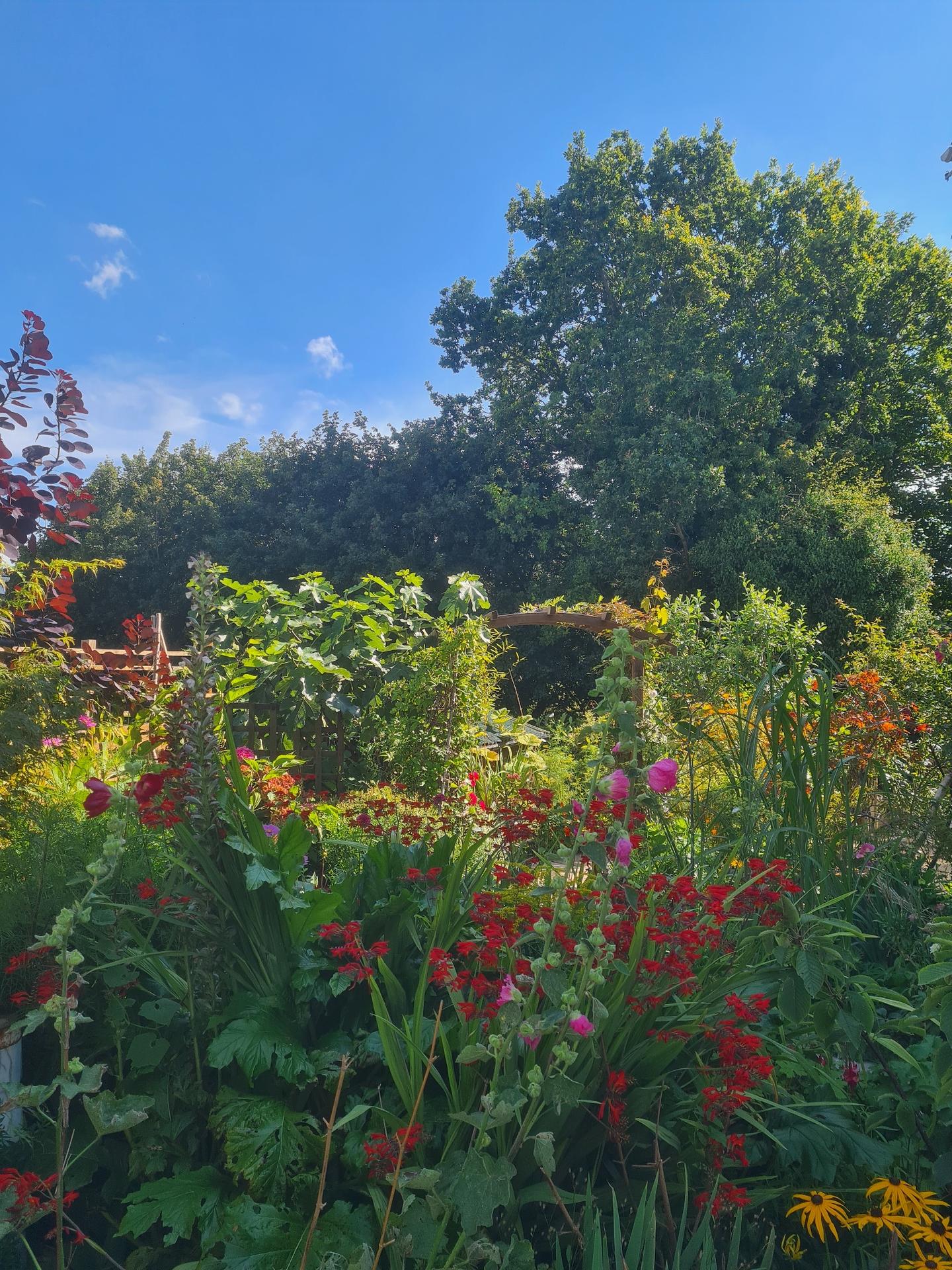 MDS2医疗器械安全制造商披露声明 (Manufacturer Disclosure Statement for Medical Device ...