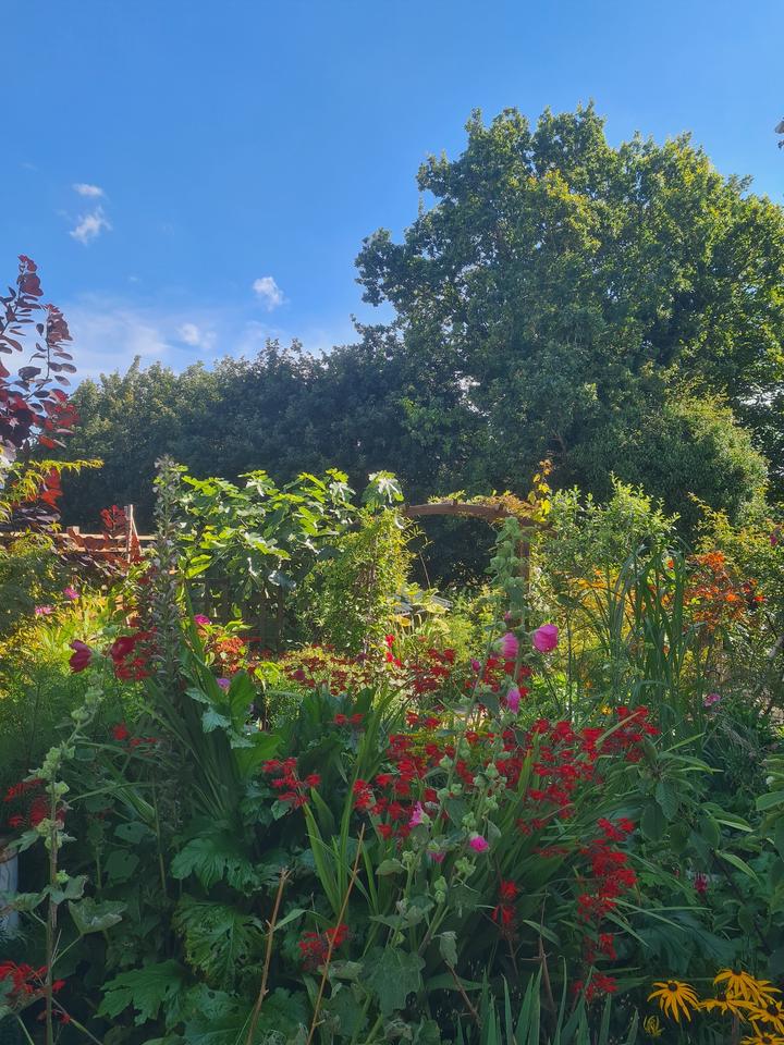 MDS2医疗器械安全制造商披露声明 (Manufacturer Disclosure Statement for Medical Device ...