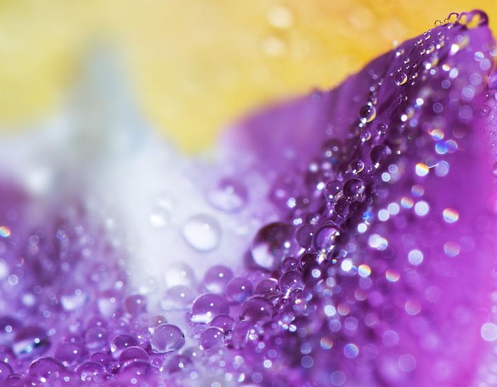 8个优秀图片素材网站，免费/商用/高分辨率。 - 知乎