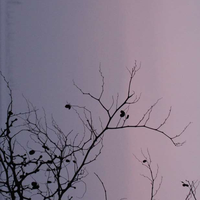 PolyPhen-2 预测突变对蛋白功能的影响 - 知乎