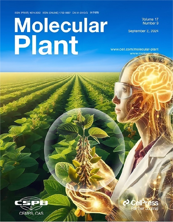 PLANT CELL:湖南大学揭示独角金内酯抑制植物开花的分子机制 - 知乎