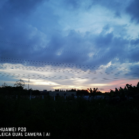 大疆 RoboMaster 3508/2006/GM6020 电机使用教程 - 知乎