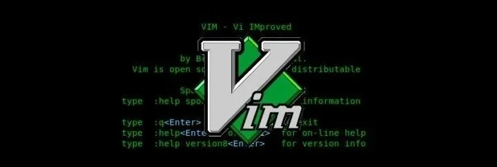 苦练一年后总结的 Vim 使用技巧，送你，拿好了！ - 知乎