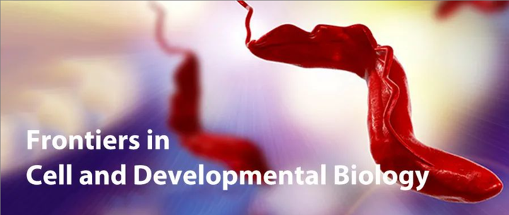 FRONT CELL DEV BIOL｜沈阳农业大学陈启军课题组首次报道乳酸化修饰在布氏锥虫中的代谢调控作用 - 知乎