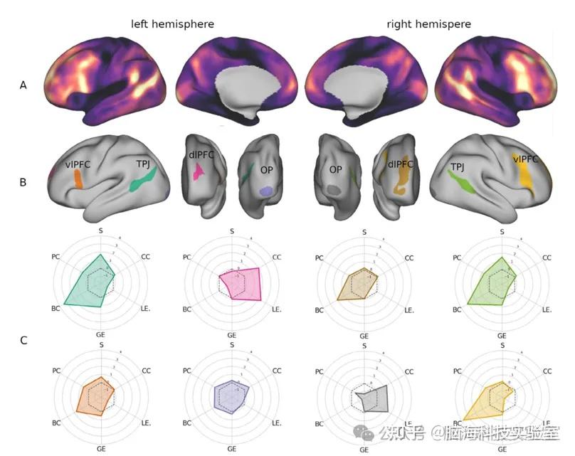 Hum Brain Mapp：通过降维和图论分析了解功能图谱与智力之间的联系 - 知乎