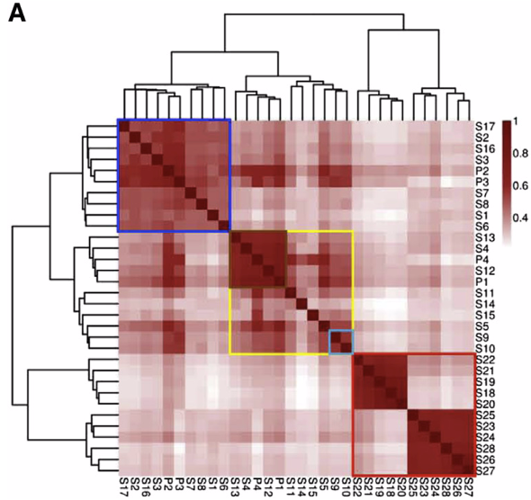 WGCNA的具体应用 - 知乎