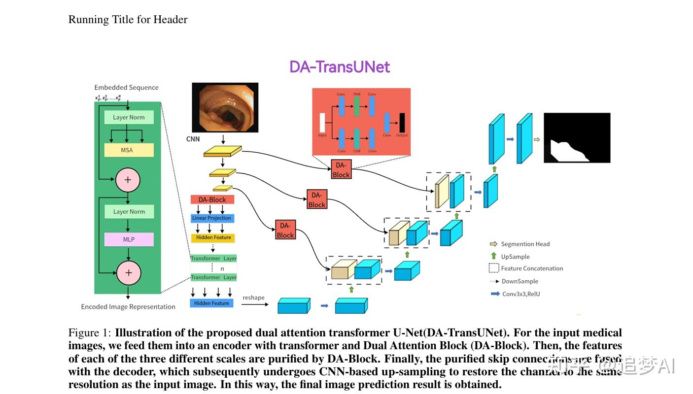 2025年CVPR热点方向 | 双注意力+Transformer 的 U-Net 新范式：DA-TransUNet 让医学分割指标“涨点起飞” - 知乎