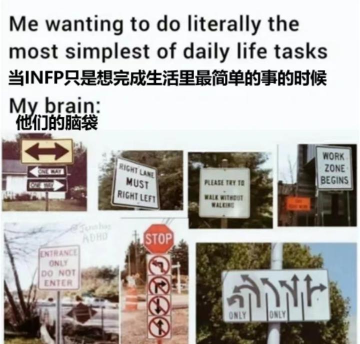 如何做INFP的完美伴侣 - 知乎