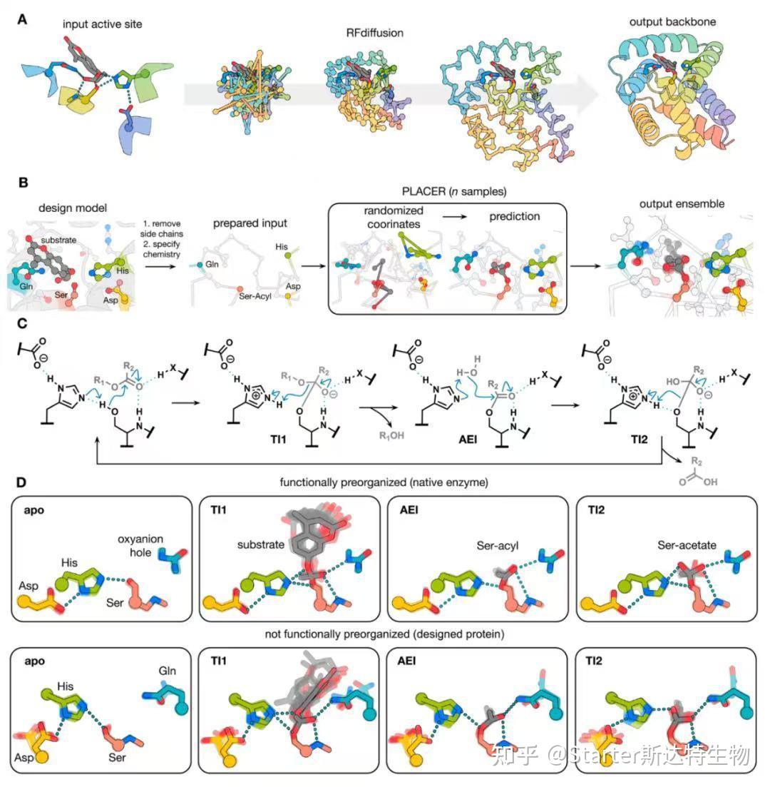 糖苷内切酶H（Endo H）的分子机制与生物学应用研究 - 知乎
