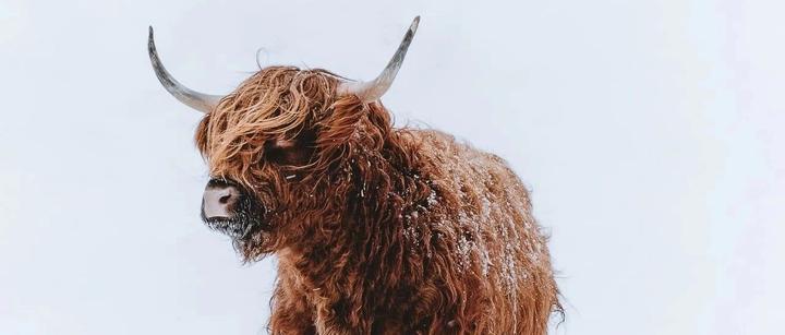 Burn 点亮 Rust 深度学习之光 - 知乎