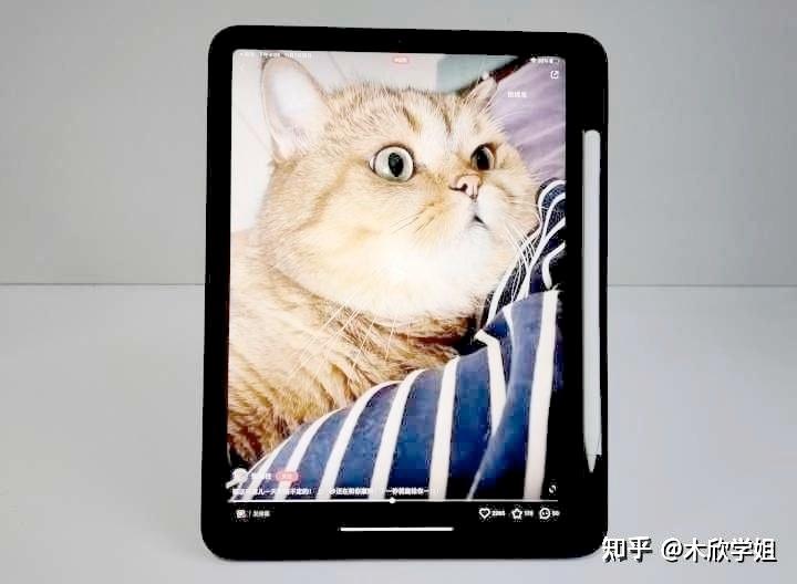 2022年618，iPad Pro2021会降到多少钱？