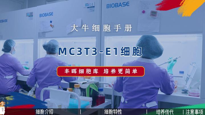 MC3T3-E1细胞培养，小鼠胚胎成骨细胞前体细胞培养攻略-丰晖生物 - 知乎