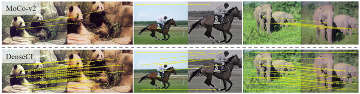 【对比学习】Dense Contrastive Learning for Self-Supervised Visual Pre-Training (CVPR'2021 Oral) - 知乎