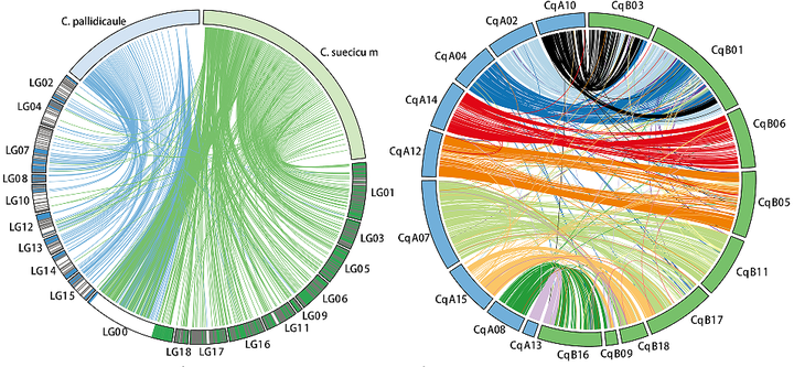 那些我看不懂的生信分析（GO、KEGG、GWAS、TWAS、BSA） - 知乎