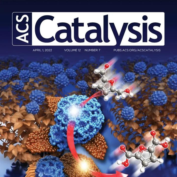 邱博诚ACS Catalysis：变废为宝：具有MoS2尖端的CdS将塑料光重整为增值化学品和氢气 - 知乎