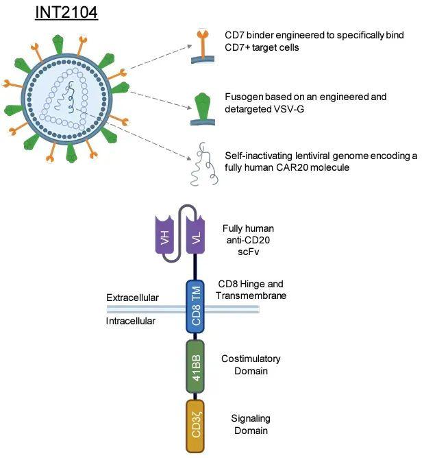 关于CAR-T治疗，我们在追求什么？ - 知乎