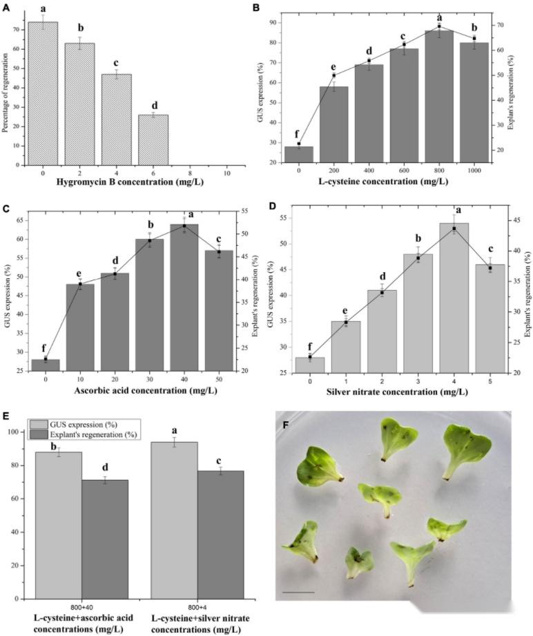 【Front Plant Sci】L-半胱氨酸可以提高大白菜的遗传转化效率 - 知乎
