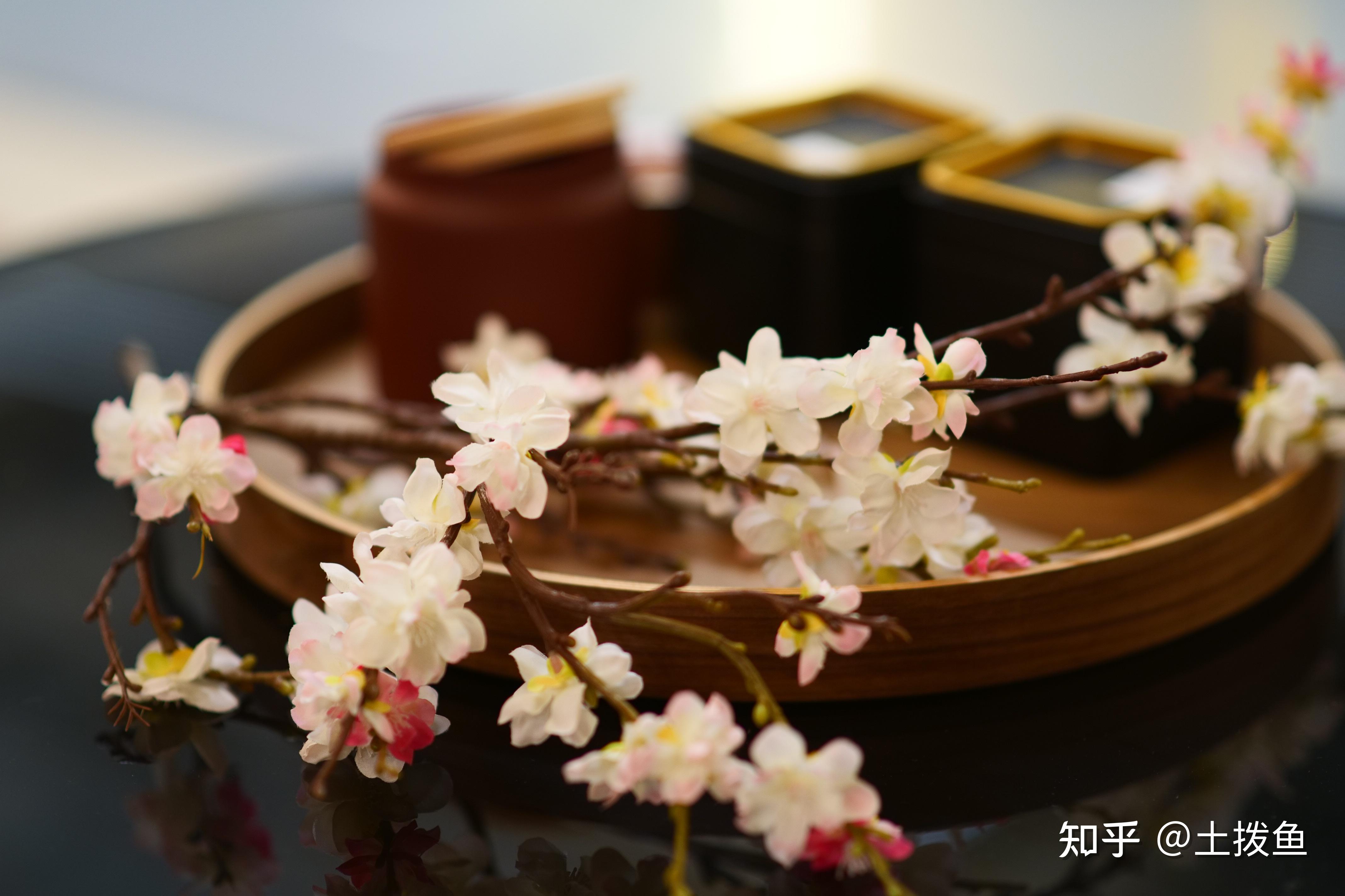 松下S5变焦，选择原厂24-105还是适马28-70？ - 知乎