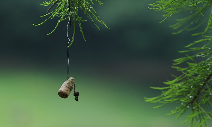 nuke深度合成总结笔记Deep Compositing - 知乎