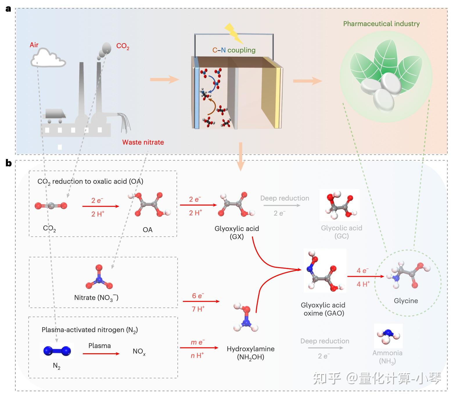 韩布兴院士团队重磅Nat. Synth.：咪唑鎓自由基介导的电化学C-N偶联合成甘氨酸 - 知乎