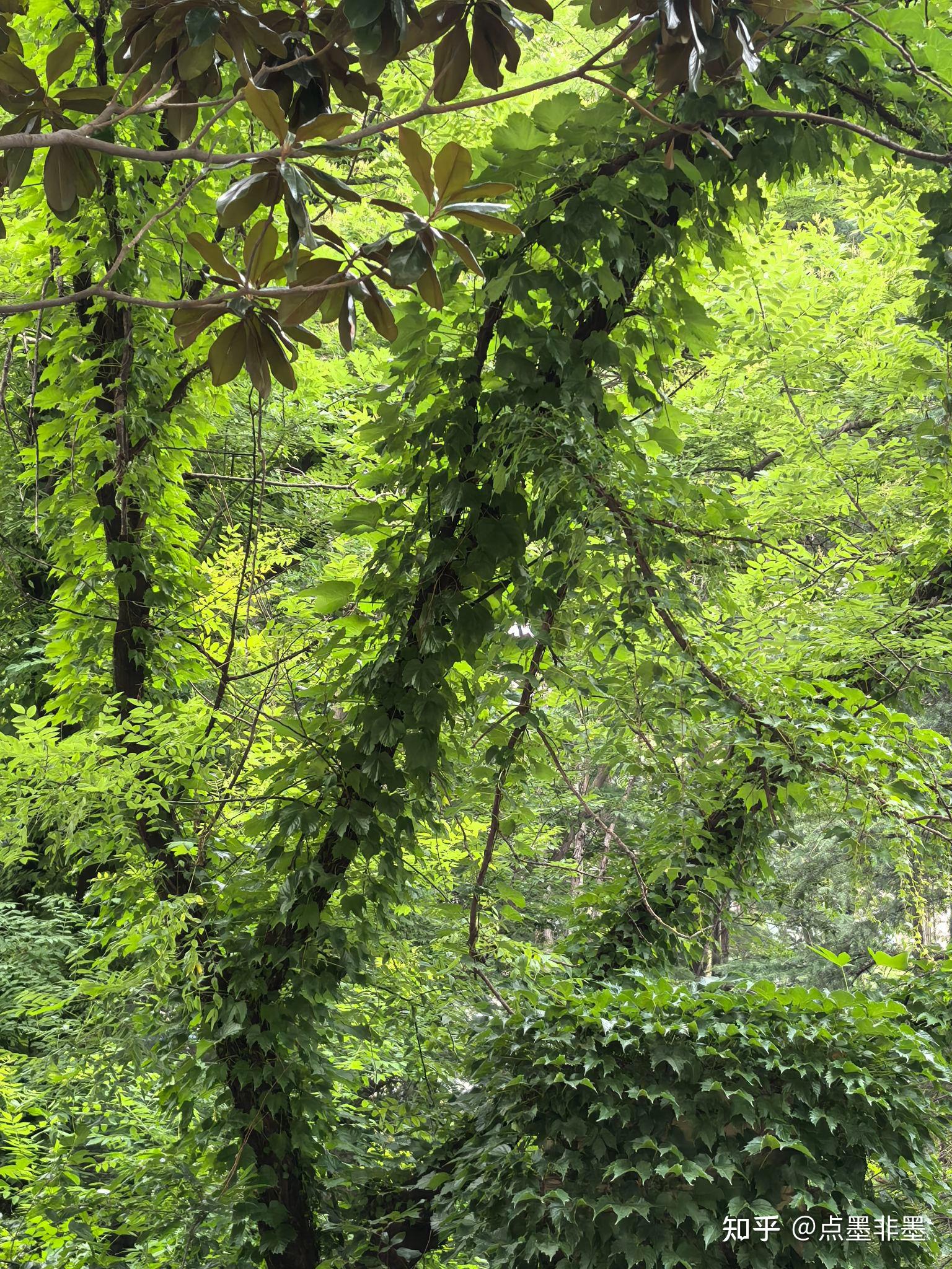 有什么好词好句推荐？ - 知乎