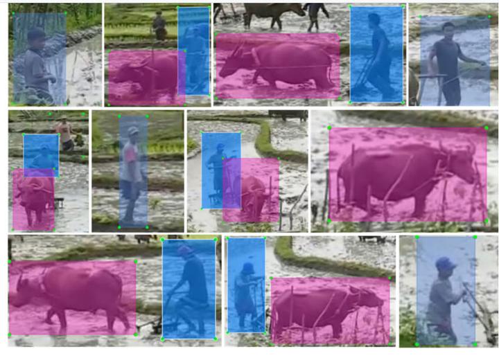 deep-sort 算法简介 - 知乎