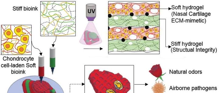3D打印仿生电子鼻厉害了！能灵敏闻到炸药 - 知乎
