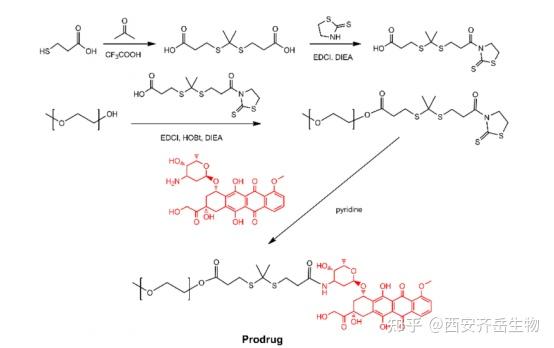 mPEG-TK-DOX ROS响应型聚乙二醇-阿霉素前药的技术文献 - 知乎