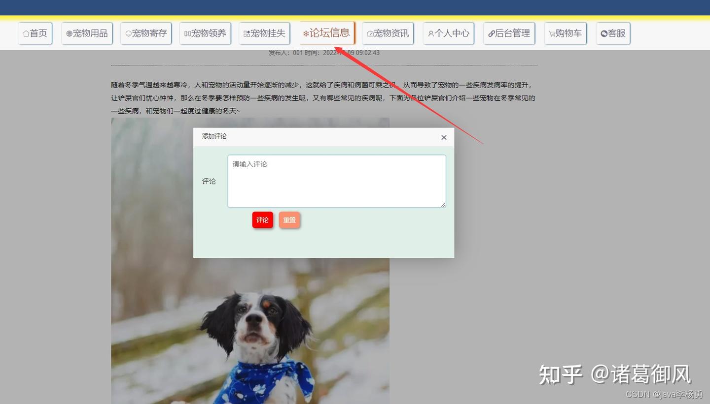 基于Java+SpringMVC+vue+element宠物管理系统设计实现 - 知乎