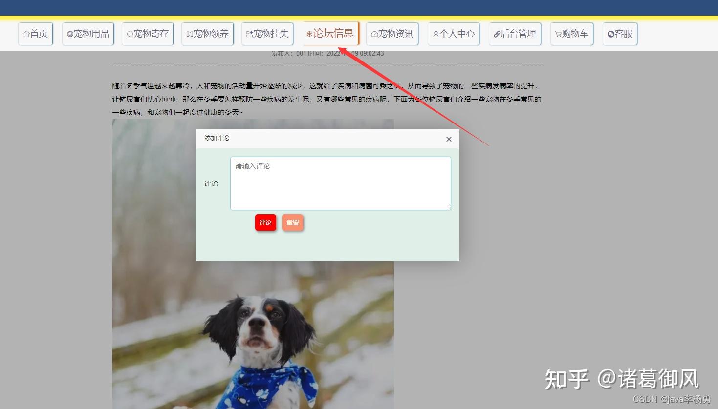 基于Java+SpringMVC+vue+element宠物管理系统设计实现 - 知乎