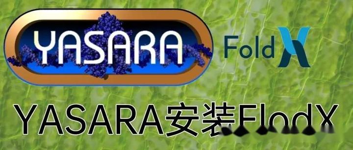 YASARA安装FoldX插件 - 知乎