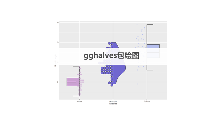 gghalves包-你五毛我五毛 - 知乎