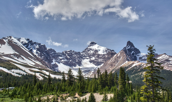 带你了解——SITC - 知乎