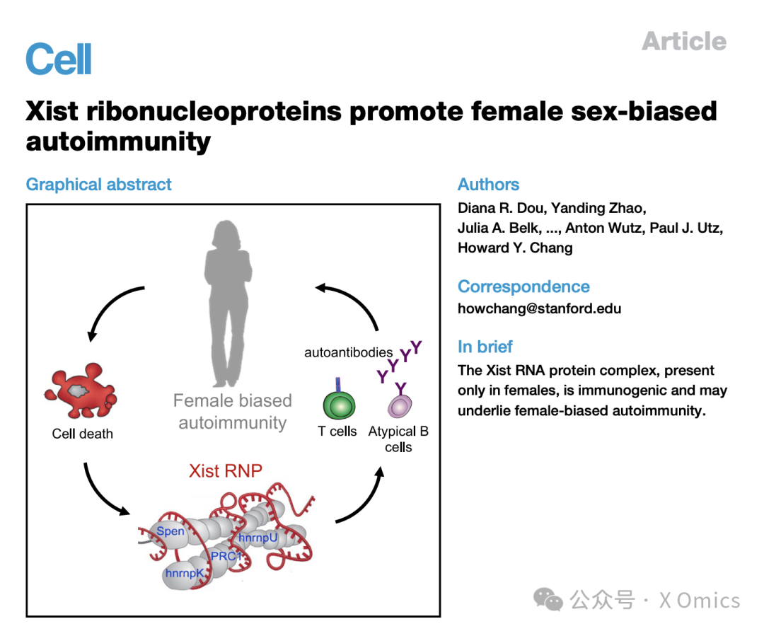 Cell｜Xist核糖核蛋白促进女性性别偏向性自身免疫 - 知乎