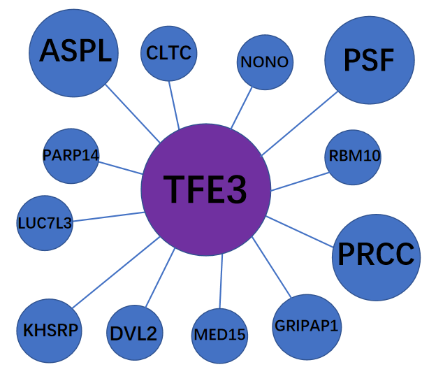 与肿瘤相关的那些明星基因：肾癌之TFE3 - 知乎