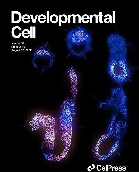 期刊推荐-发育生物学 - 知乎