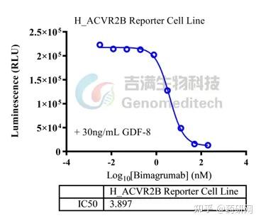 Bimagrumab数据惊艳! ActRII 引爆高质量减重新热潮 - 知乎